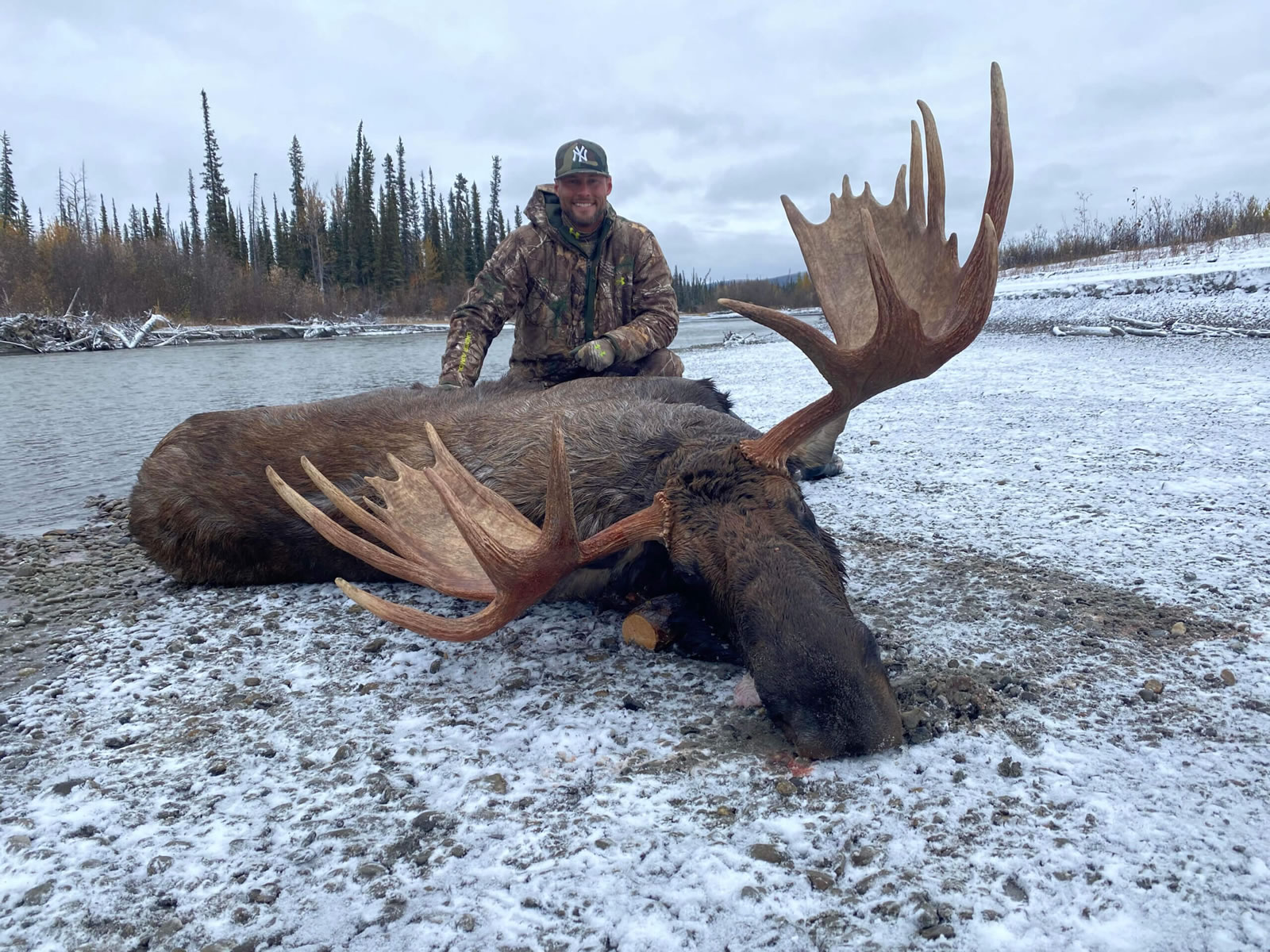 Yukon Moose Hunts: Season, Cost & Trophy Bull Planning!