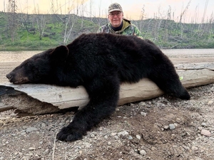 Alberta Baited Black Bear, Wolf and Waterfowl Hunts #245 - Hunt-Nation